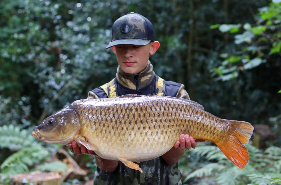 Ressie common | Total Carp
